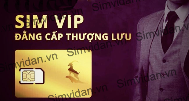 Giải mã sức hút và những lý do nên dùng sim số vip | Sim Vì Dân